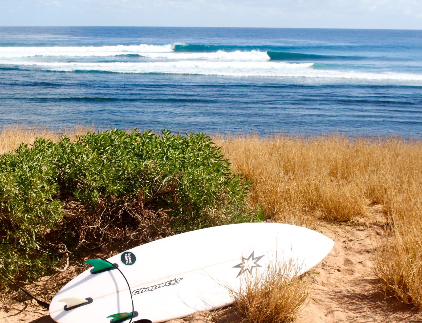 Chapstar 5 Star – Board Store